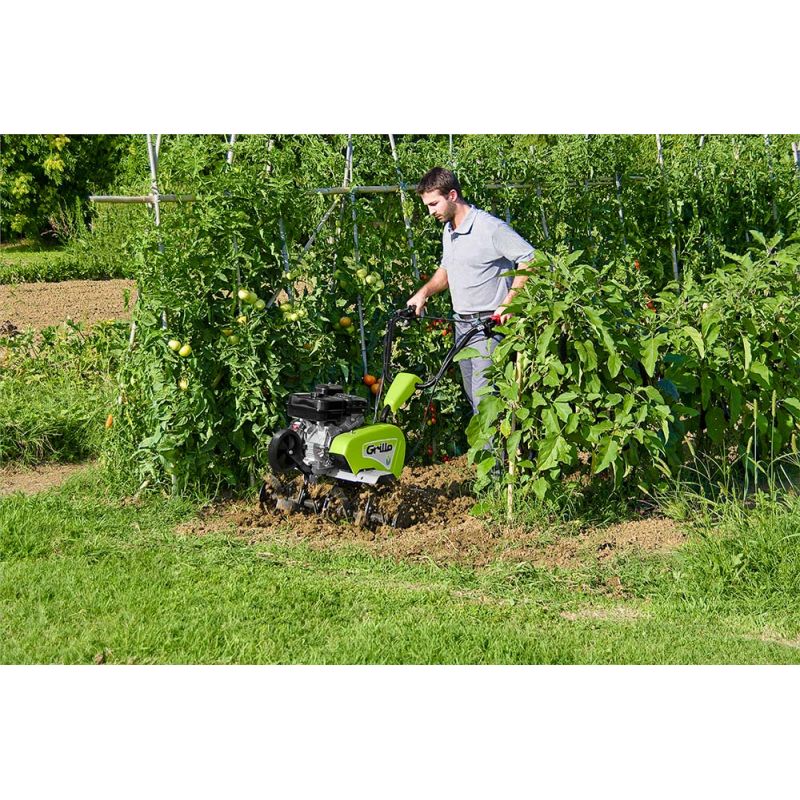 Grillo Princess M1 (Loncin) - Motobineuse