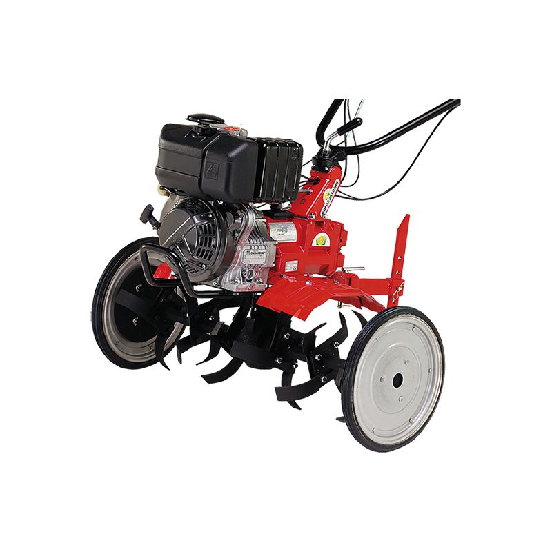 Clear Plastic Containers 50-Pack Clear Clamshell Food Containers - 7x5 ...